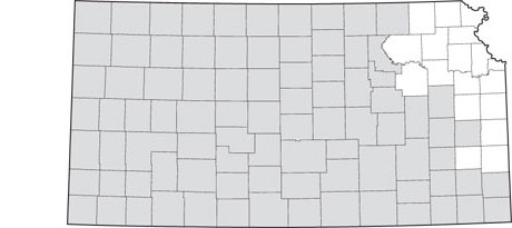 Networks – Preferred Health Professionals